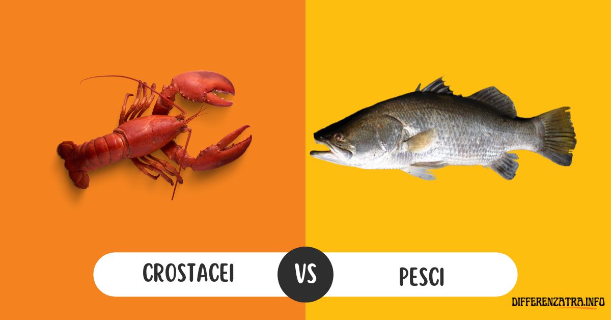 Differenza Tra Crostacei e Pesci (Scopriamola Insieme)