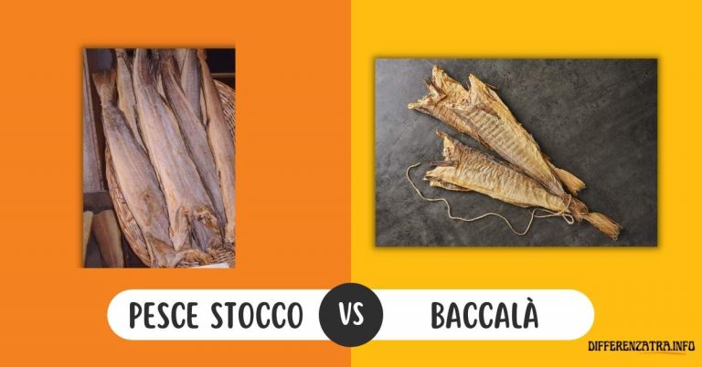 Differenza Tra Pesce Stocco e Baccalà (Capiamola Insieme)