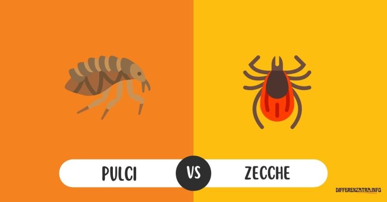Differenza tra Pulci e Zecche (Classificazione, Ciclo di vita)